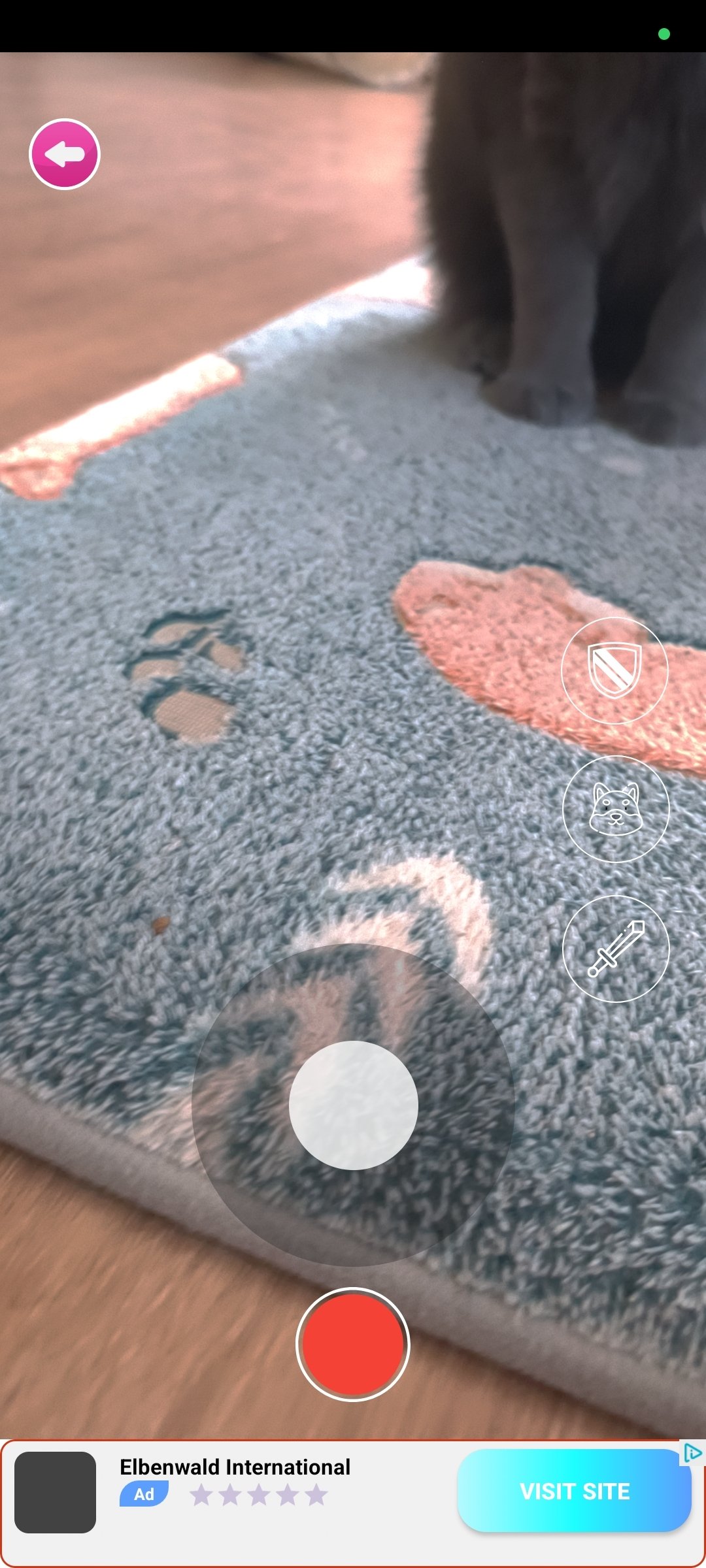 AR Dogy APK Download for Android Free