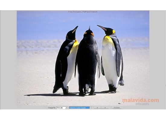 WebShots Desktop 3.1.1.7317
